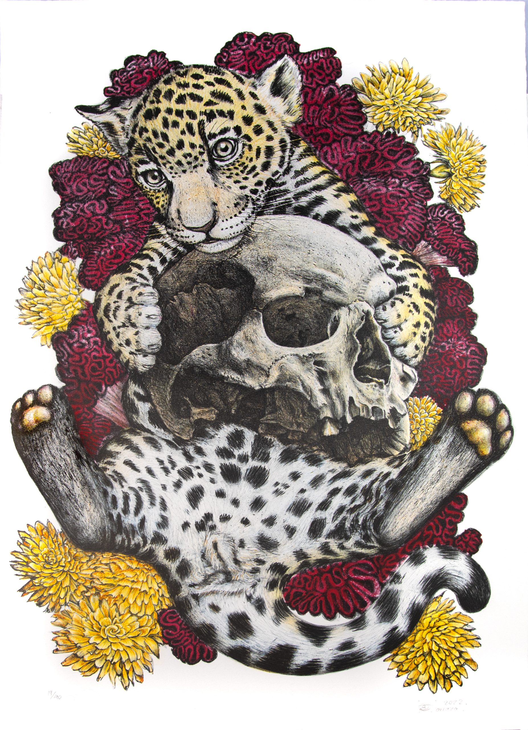 Daniel Barraza - Jaguar con Cráneo - Arte Sublime