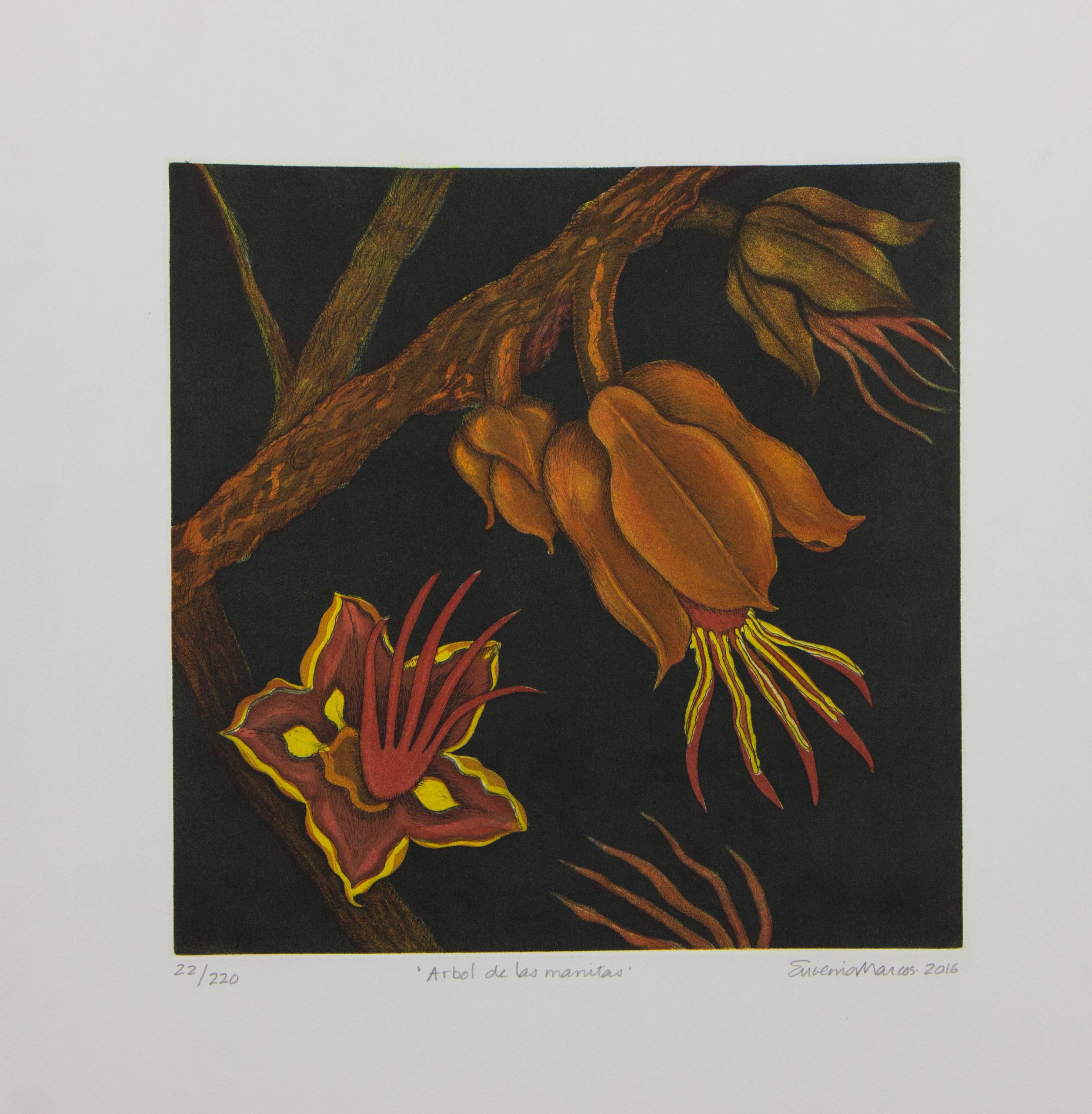 Eugenia Marcos - Arbol de las manitas - Arte Sublime